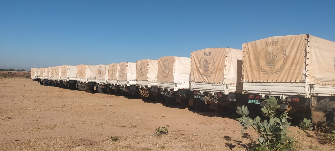 Fifteen trucks delivering humanitarian food aid from the World Food ...